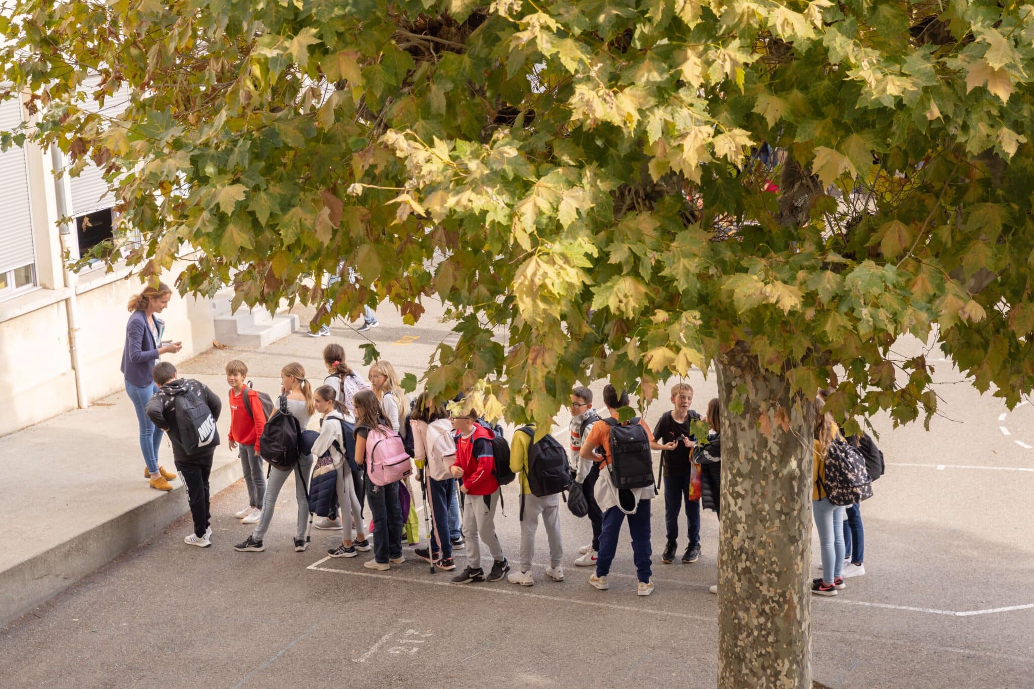 Collège - École Saint Louis